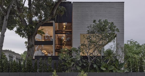 ArMo Design Studio's design is inspired by an existing tree