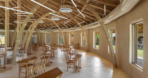 Bamboo In Design And Construction